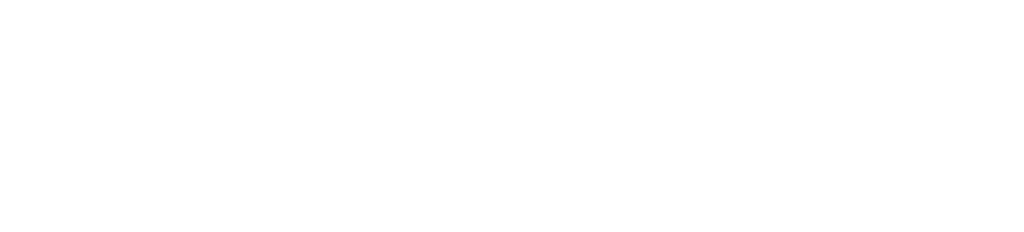 Our project: A sustainable Denmark - CIP Fonden