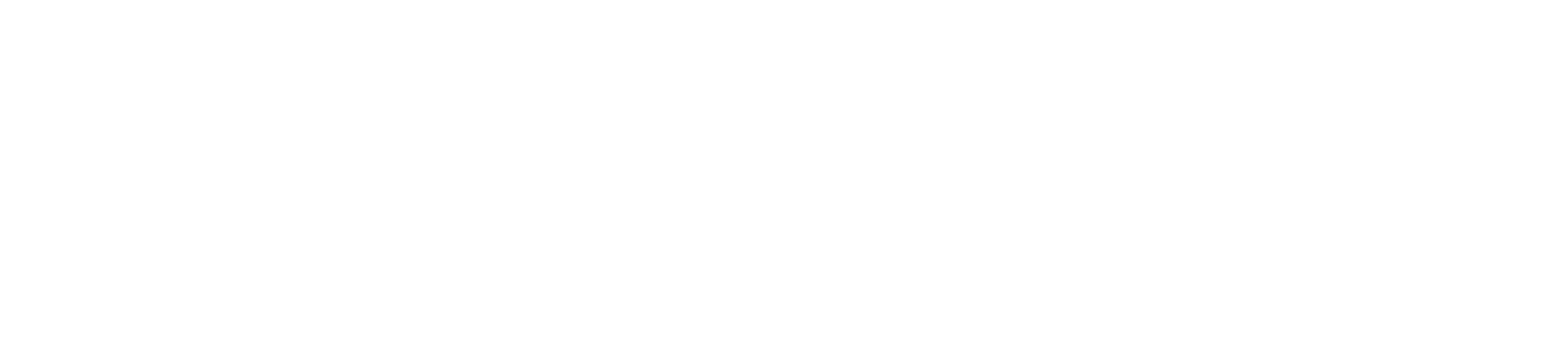 Our project: A sustainable Denmark - CIP Fonden