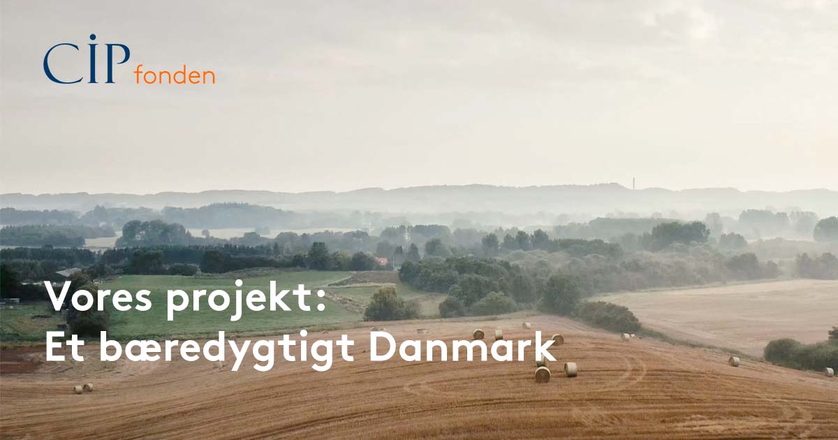 Vores projekt: Et bæredygtigt Danmark - CIP Foundation